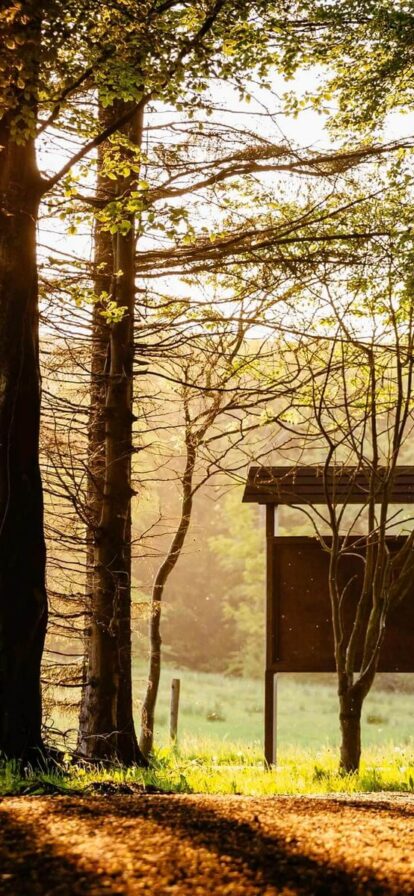 Things To Do In Mayo | Activities in Mayo | Ice House Hotel