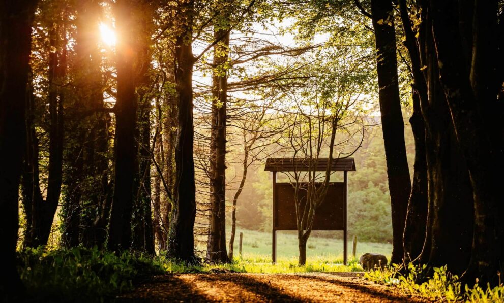Things To Do In Mayo | Activities in Mayo | Ice House Hotel